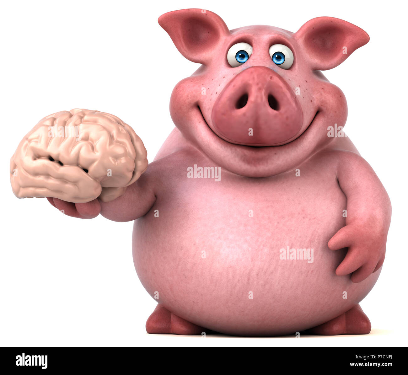 Pig brain illustration Cut Out Stock Images & Pictures - Alamy