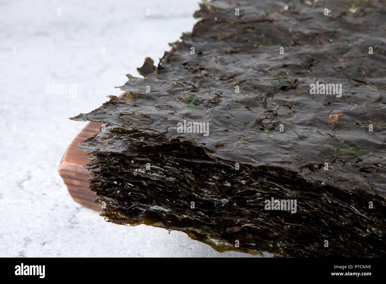 Object photos - seaweed, its rich in vitamins, minerals, and fiber. 058 ...