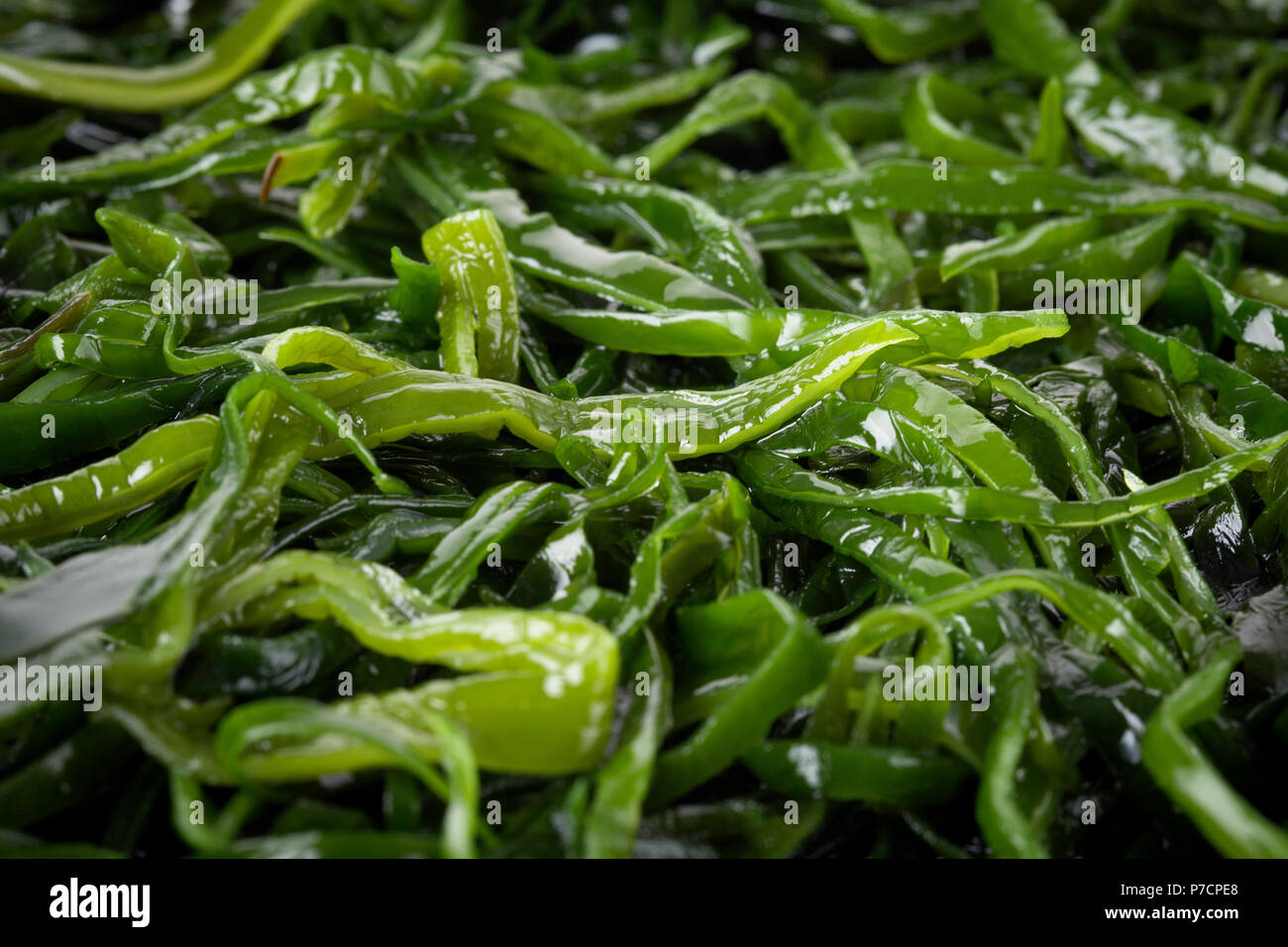 Object photos - seaweed, its rich in vitamins, minerals, and fiber. 048 ...
