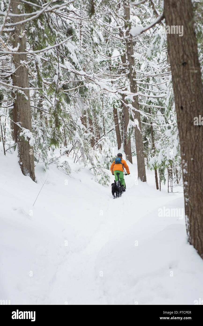 Dog bicycle riding hi-res stock photography and images - Alamy