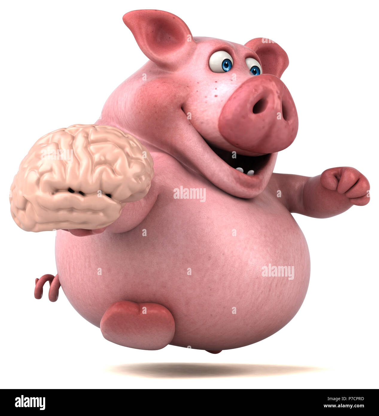 Pig brain illustration hi-res stock photography and images - Alamy