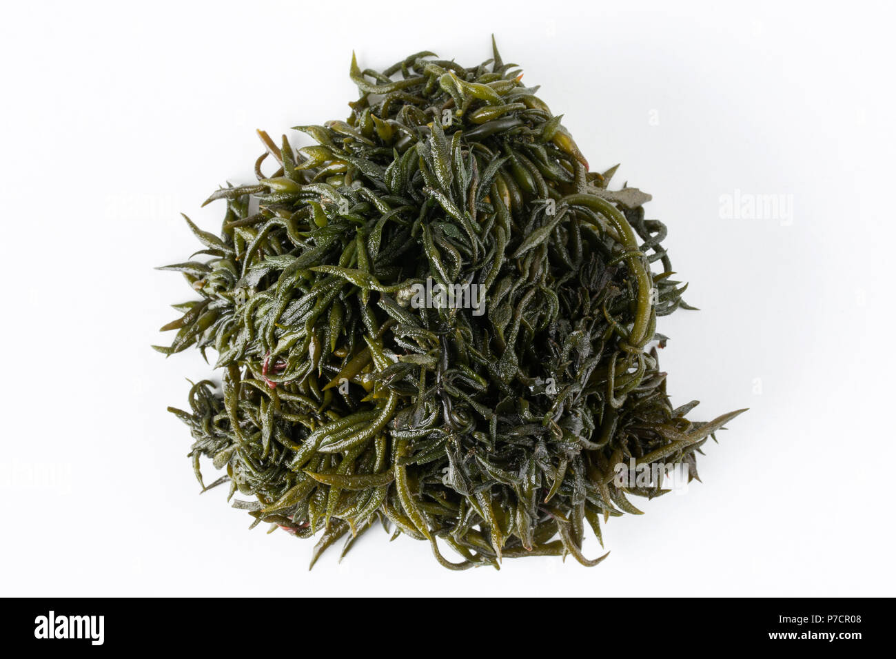 Object photos - seaweed, its rich in vitamins, minerals, and fiber. 042 ...