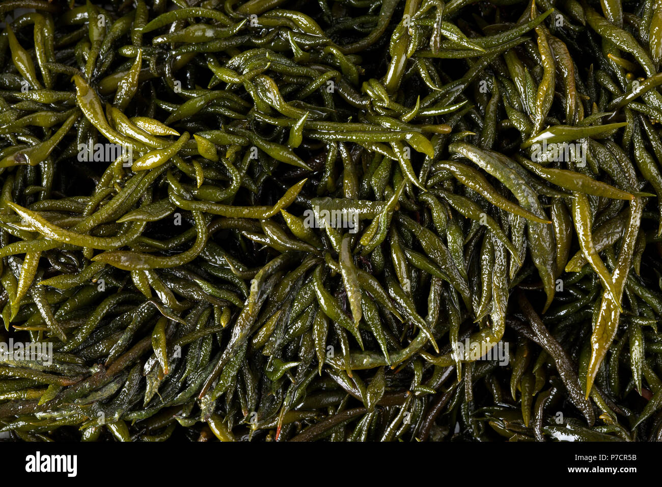 Object photos - seaweed, its rich in vitamins, minerals, and fiber. 043 ...