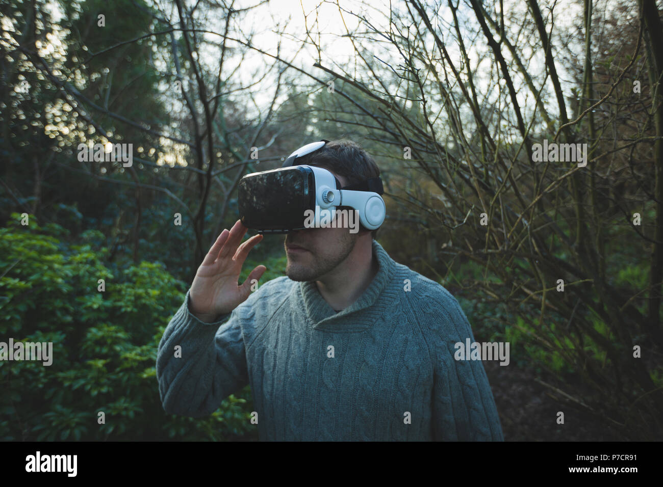 Virtual forest hi-res stock photography and images - Alamy