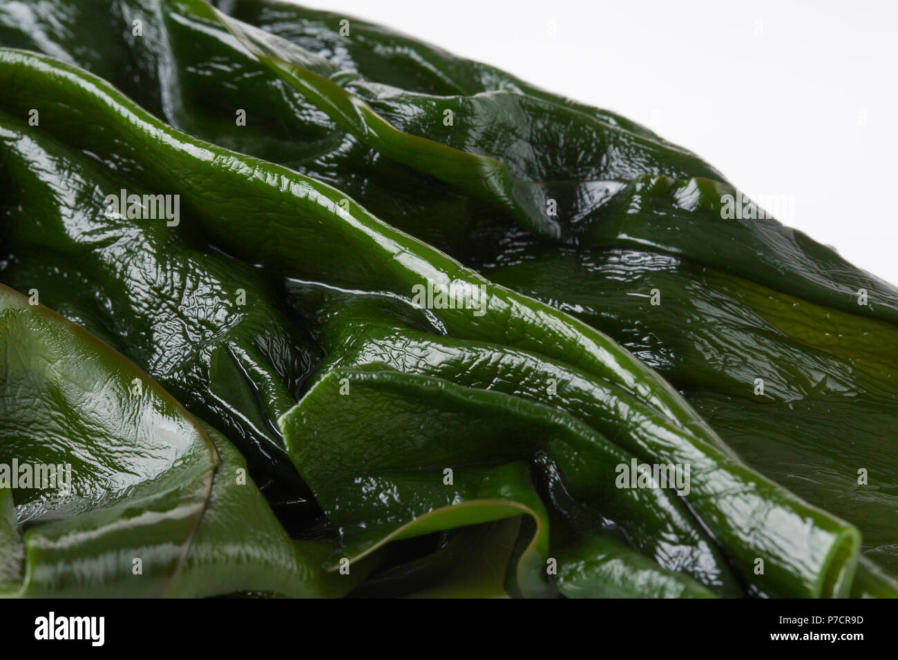 Object photos - seaweed, its rich in vitamins, minerals, and fiber. 040 ...
