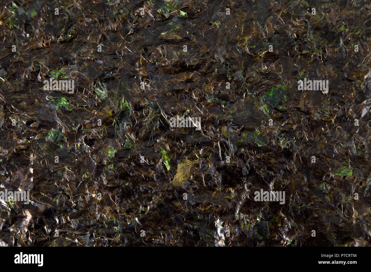 Object photos - seaweed, its rich in vitamins, minerals, and fiber. 030 ...