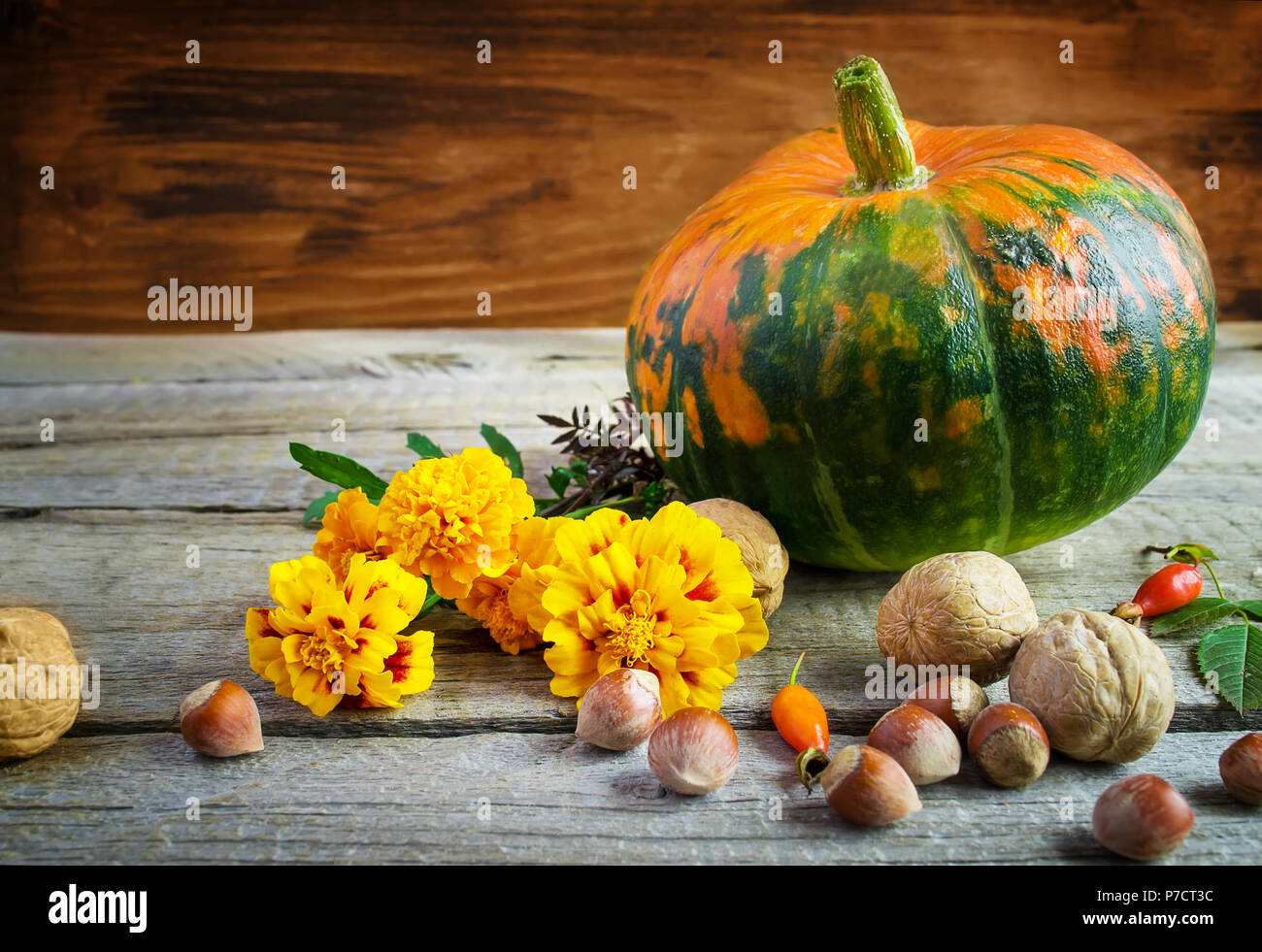Marigold and pumpkin hi-res stock photography and images - Alamy