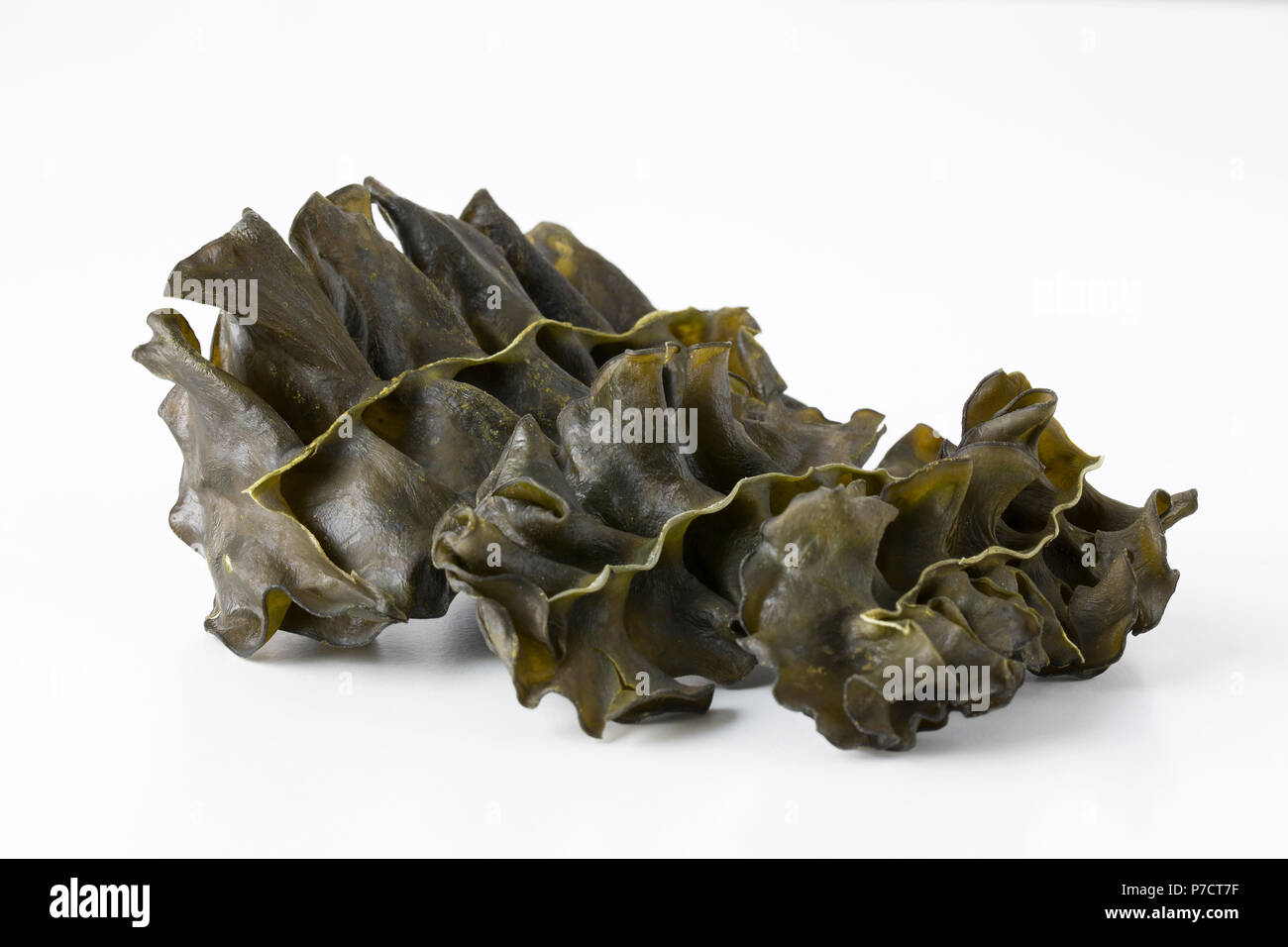 Object photos - seaweed, its rich in vitamins, minerals, and fiber. 016 ...
