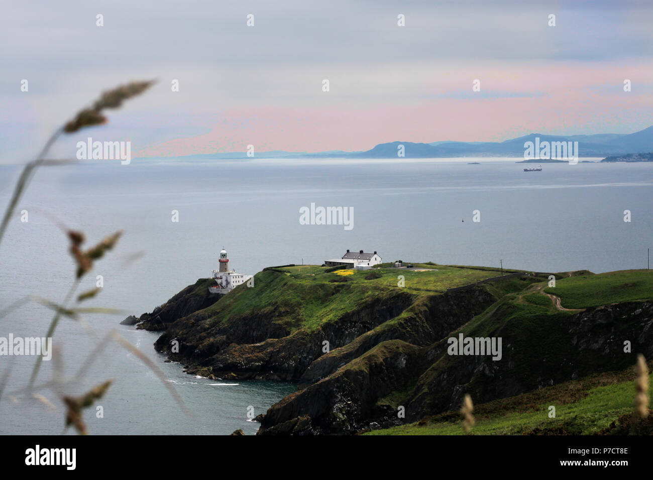 Howth cliff path hi-res stock photography and images - Alamy