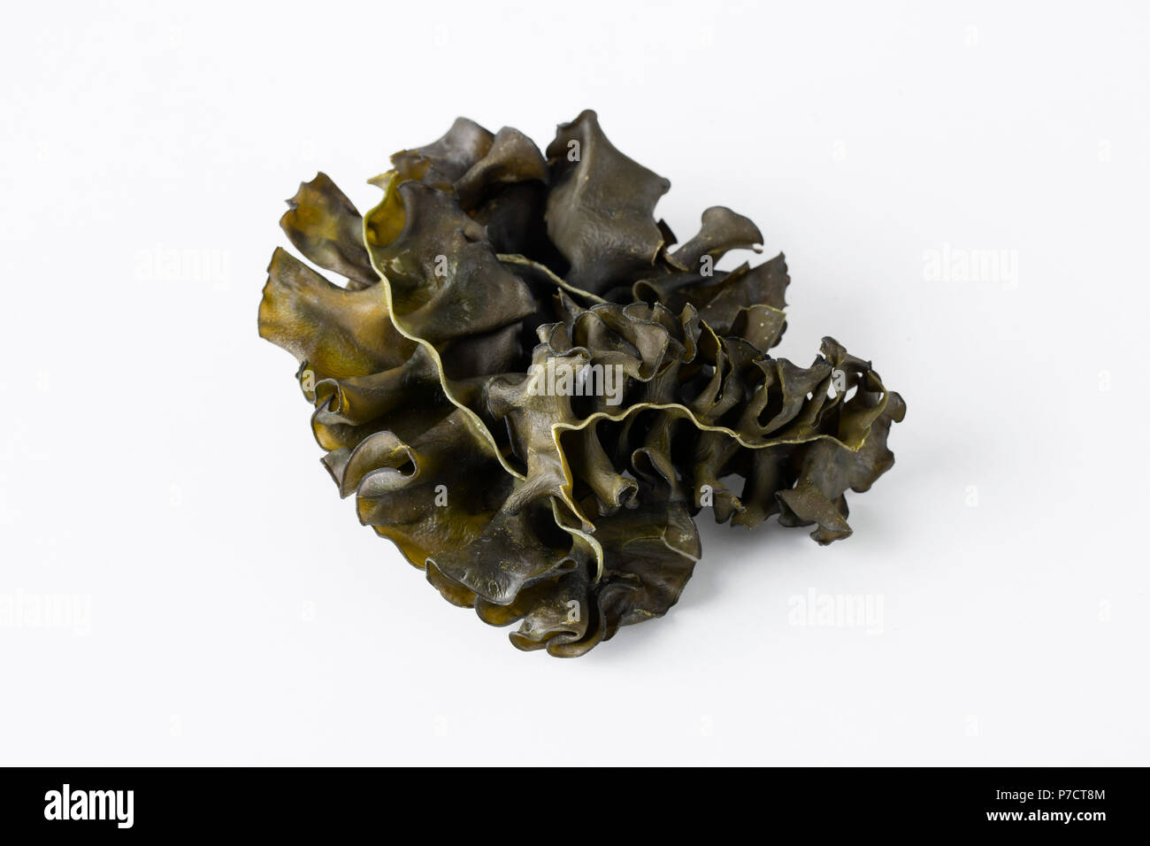 Object photos - seaweed, its rich in vitamins, minerals, and fiber. 015 ...