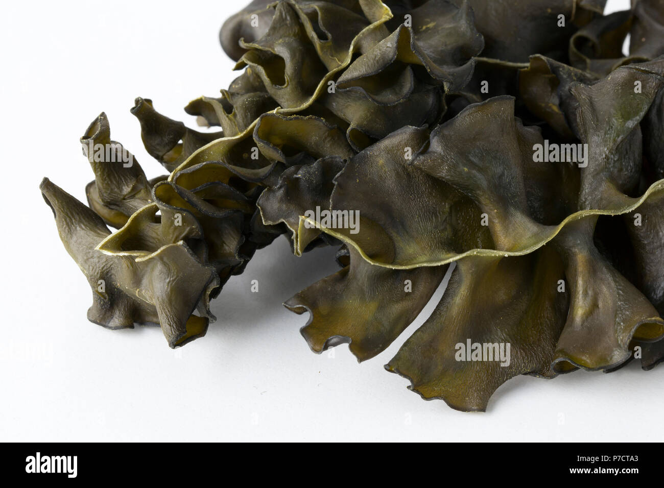 Object photos - seaweed, its rich in vitamins, minerals, and fiber. 013 ...