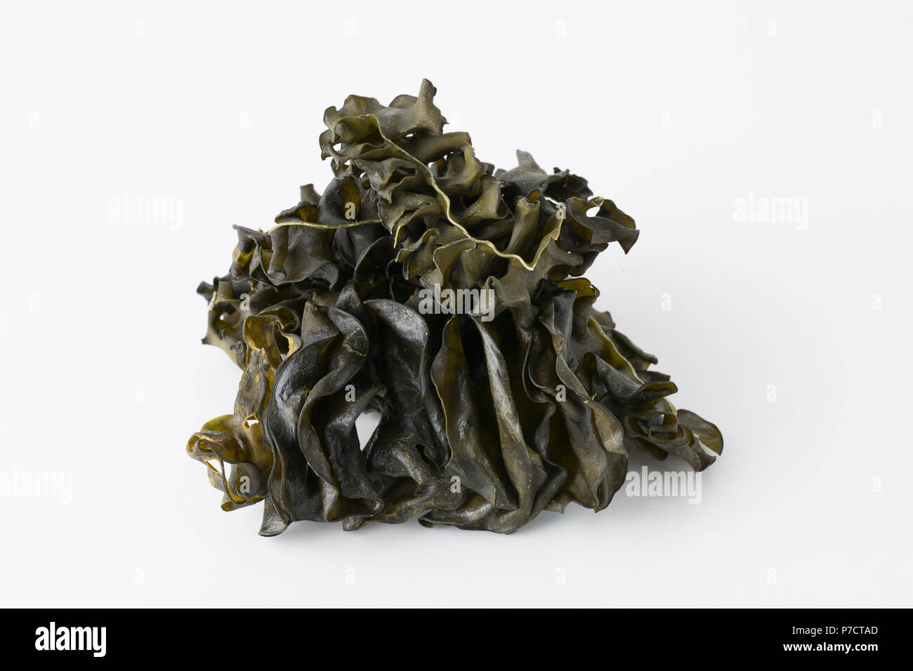 Object photos - seaweed, its rich in vitamins, minerals, and fiber. 012 ...