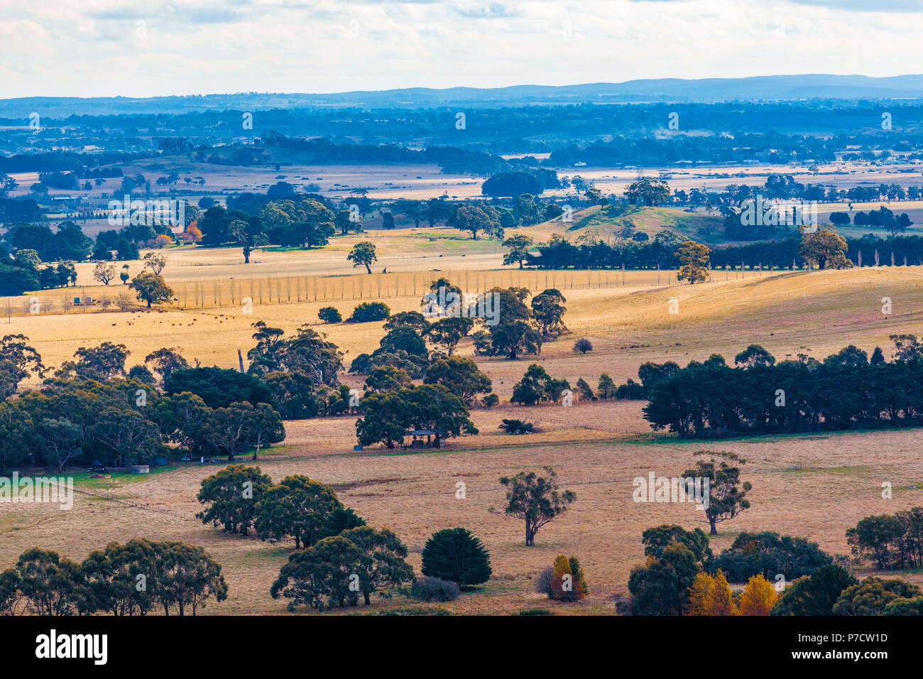 Australian countryside in winter near Melbourne, Victoria Stock Photo ...