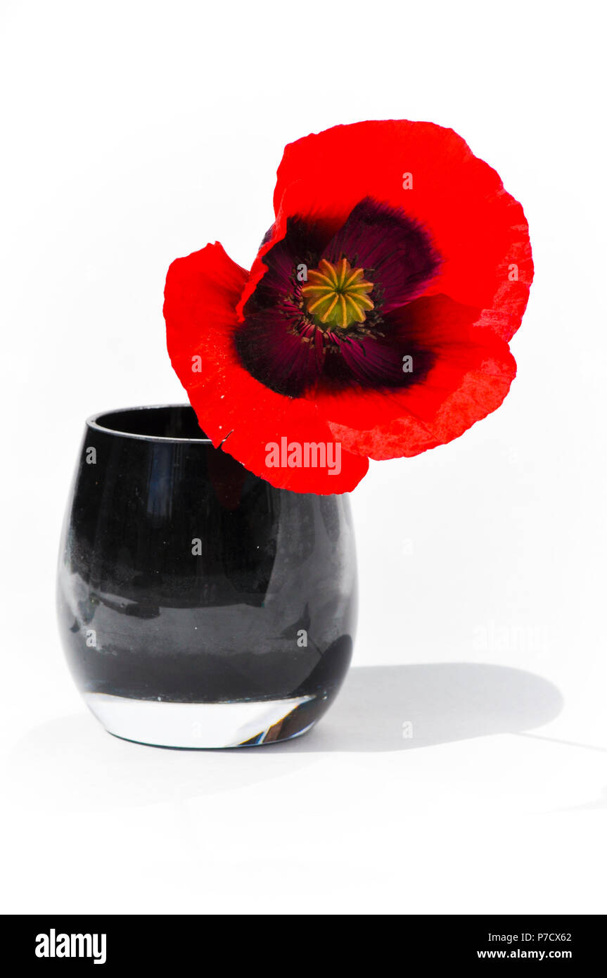 Jar off Cut Out Stock Images & Pictures - Alamy