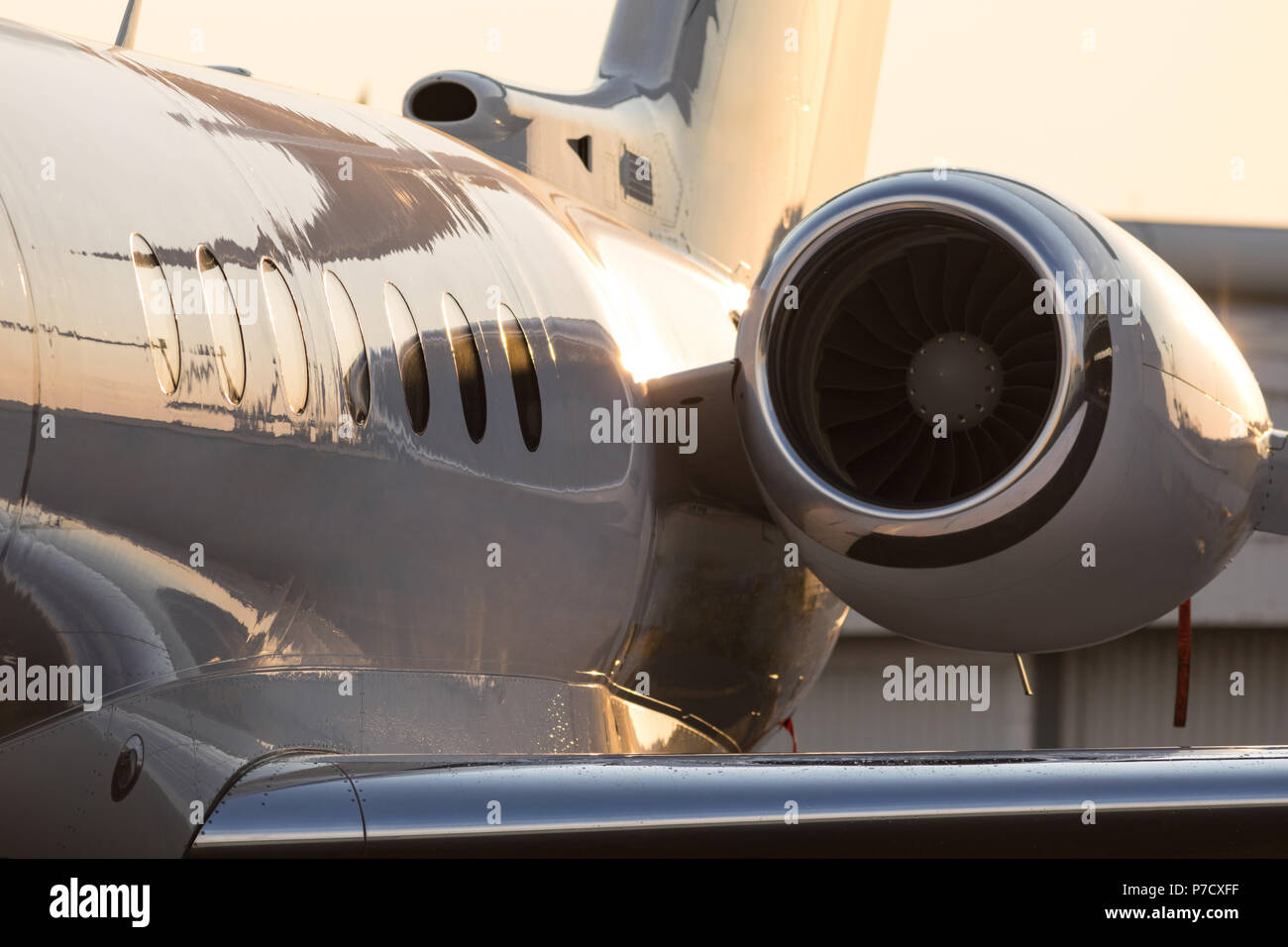 Private part hi-res stock photography and images - Alamy