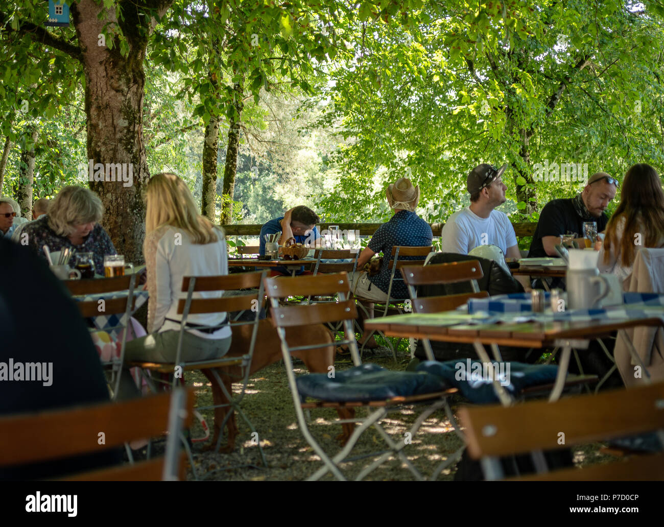 People have lunch under the shade of trees in a biergarten Stock Photo ...