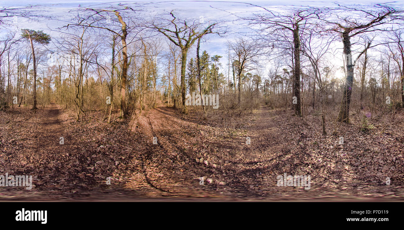 360 forest image hi-res stock photography and images - Alamy