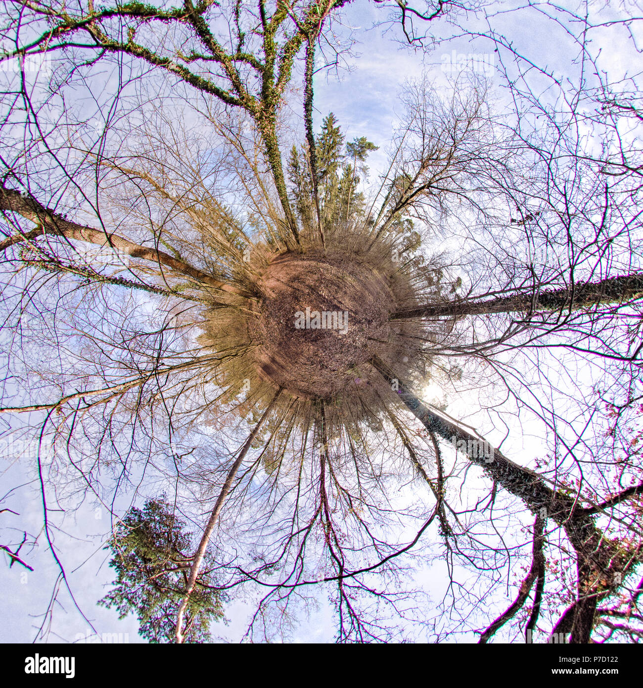Little planet sky tree hi-res stock photography and images - Alamy