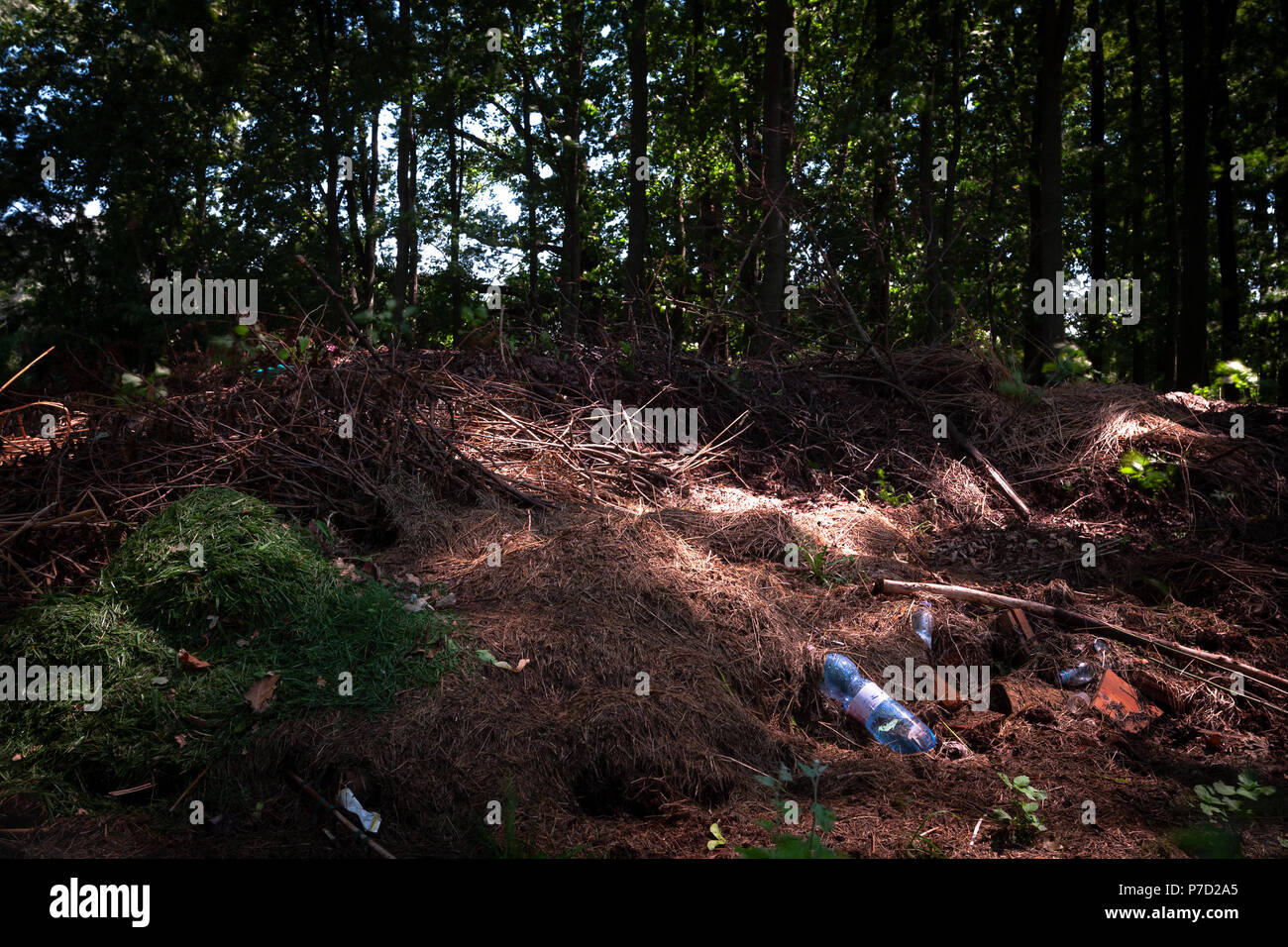 Waste plastic bottles in the forest. Nature pollution concept Stock ...