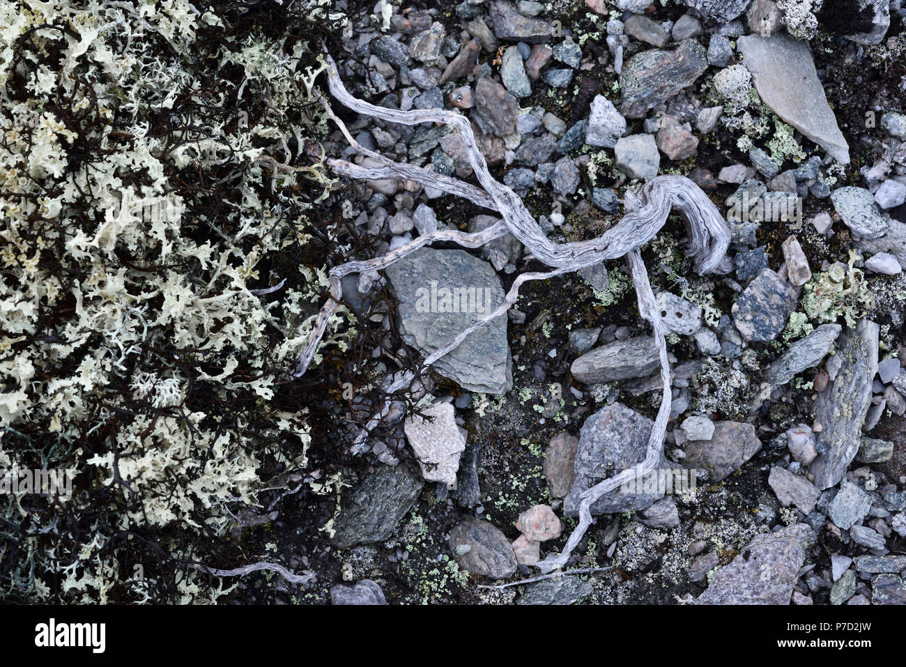 Barren soil hi-res stock photography and images - Alamy