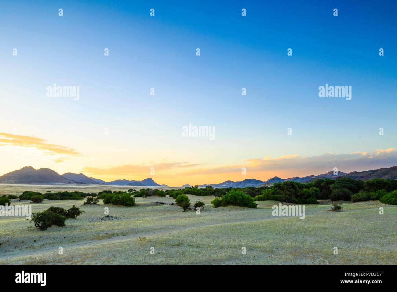 Purros hi-res stock photography and images - Alamy