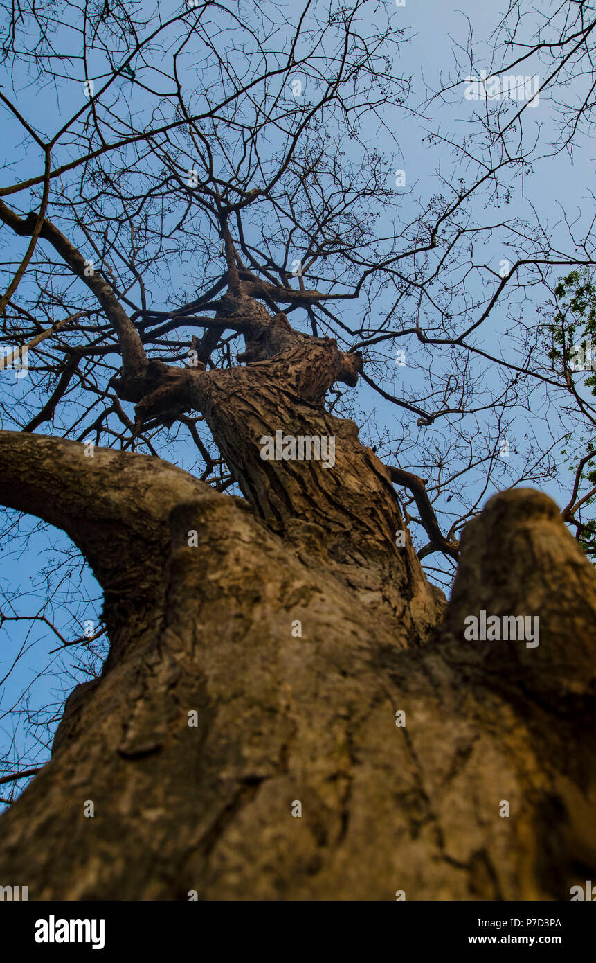 Rising from depth hi-res stock photography and images - Alamy