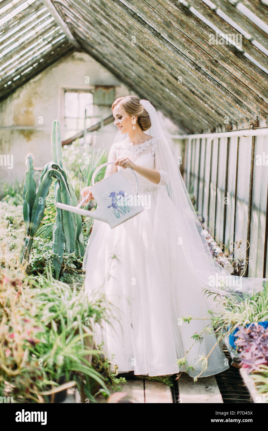 The beautiful bride is watering the plants via watering can. Greenhouse ...