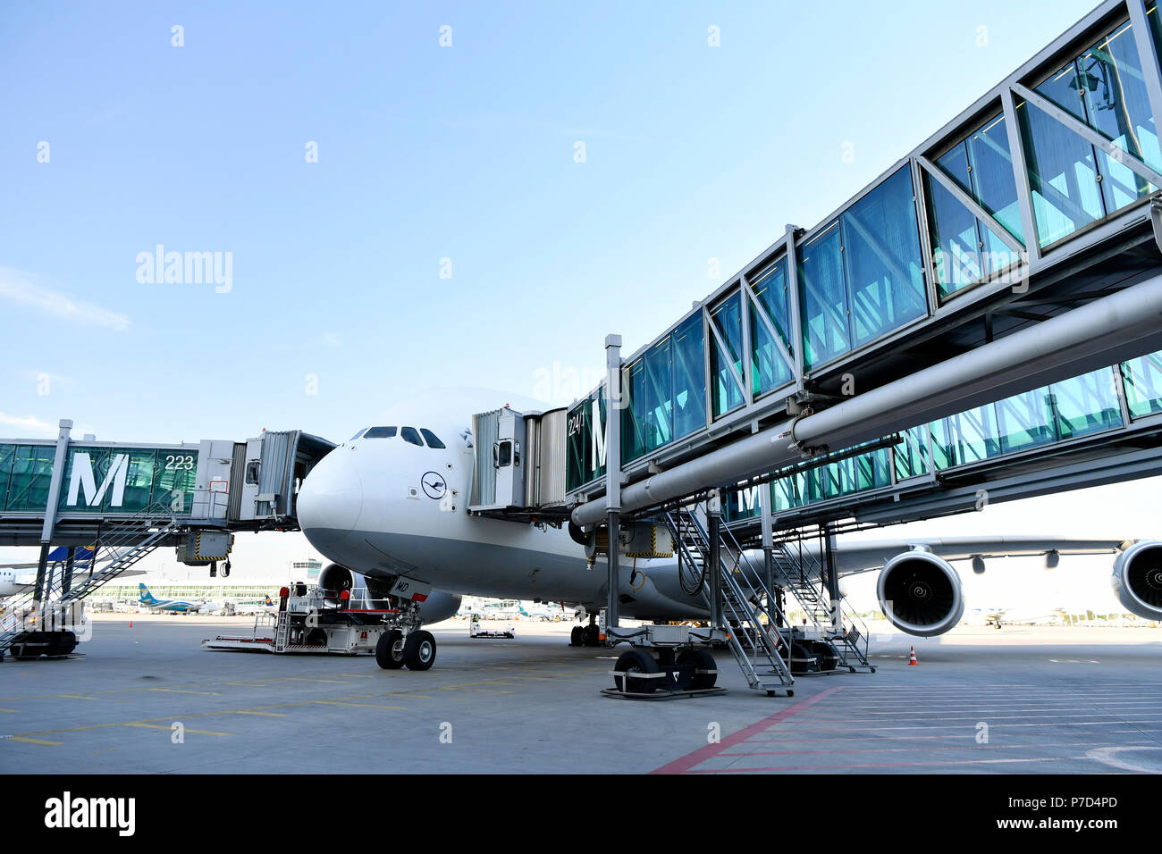 Lufthansa, Airbus, A380-800, with passenger bridges, at position ...