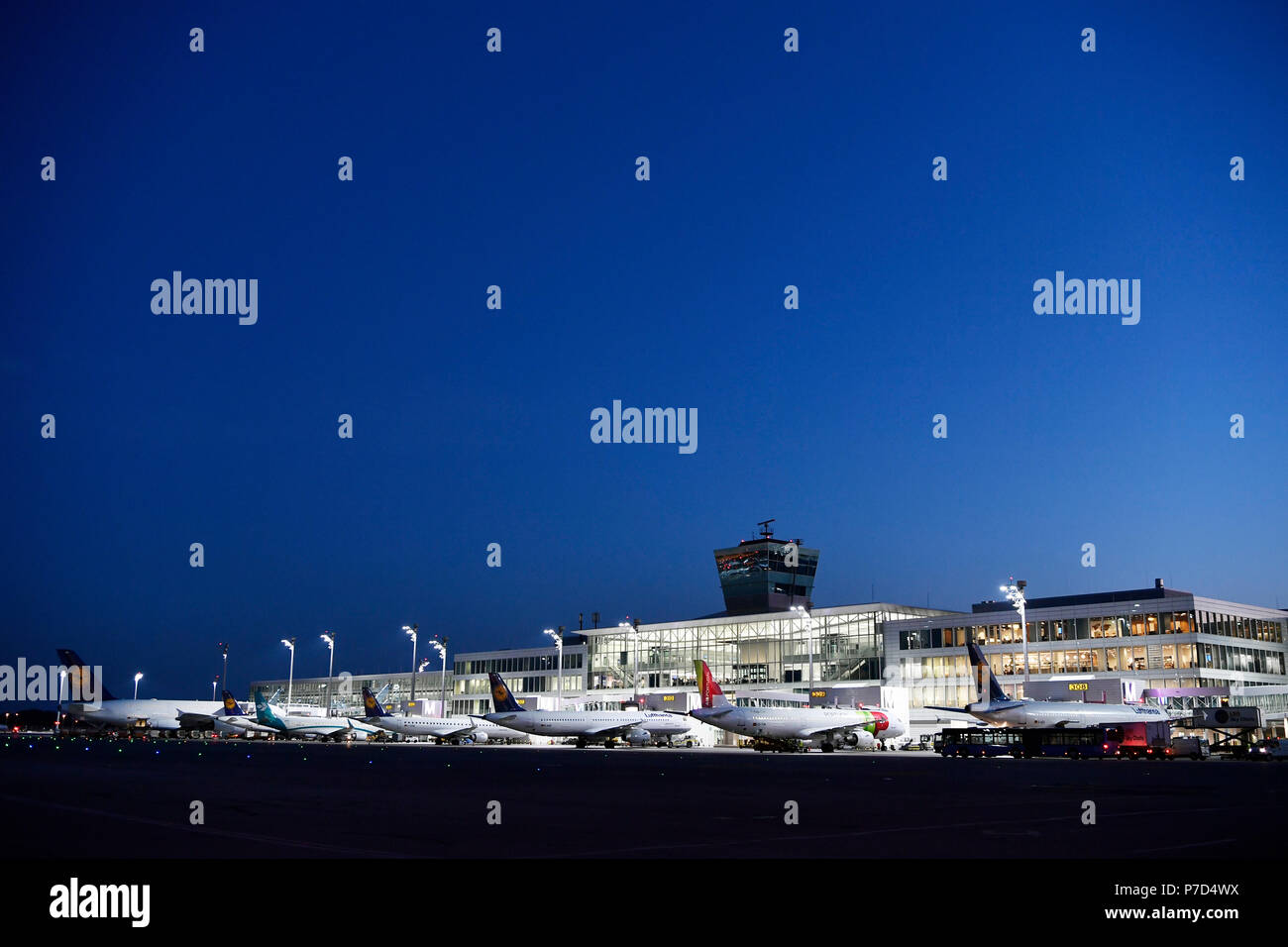 Airlines, line up, terminal 2, at night, Munich airport, Upper Bavaria ...