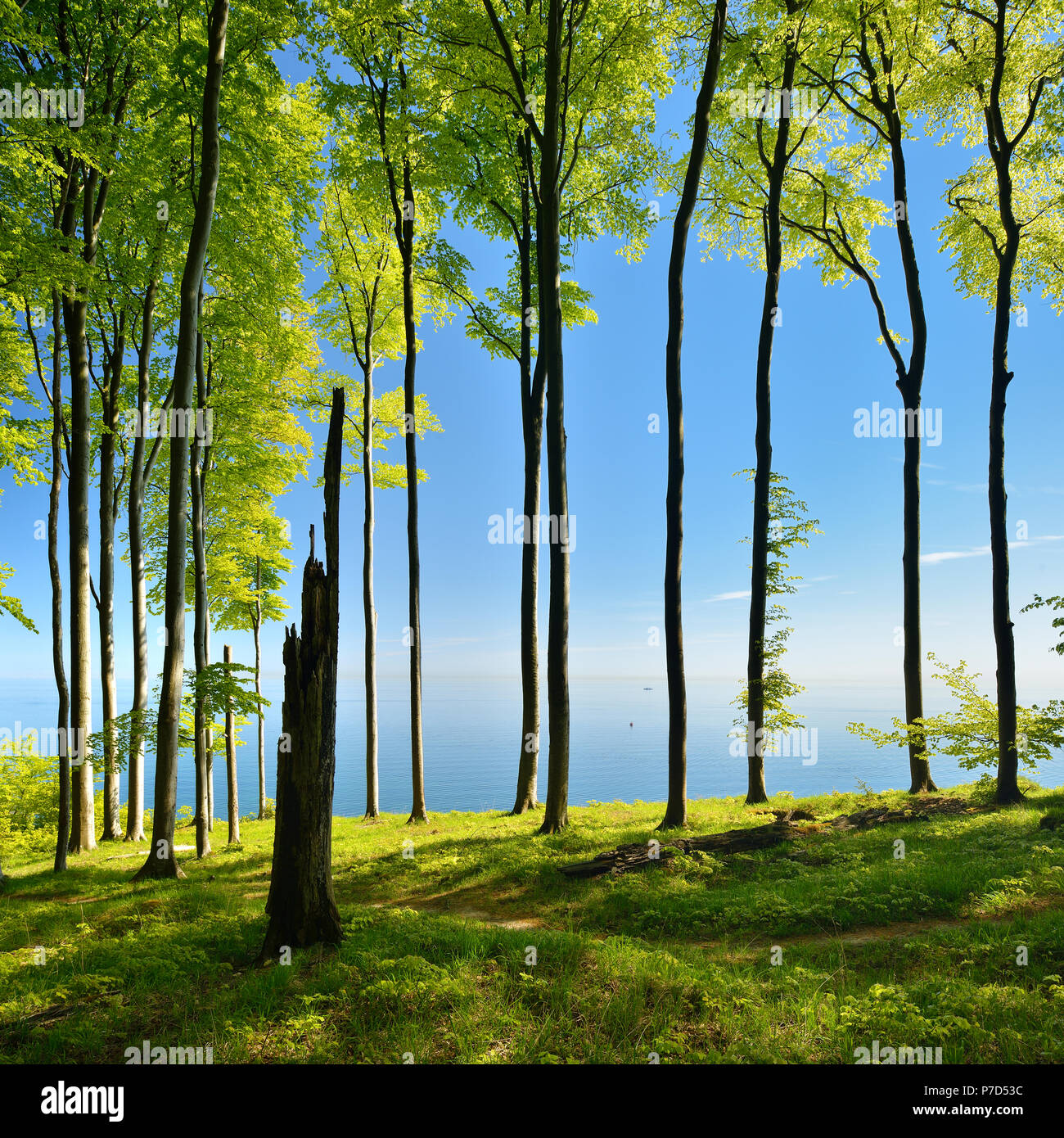 Greenery view hi-res stock photography and images - Alamy