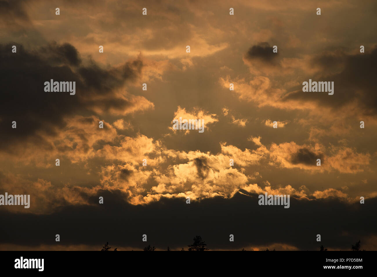 Clouds over tree tops hi-res stock photography and images - Alamy