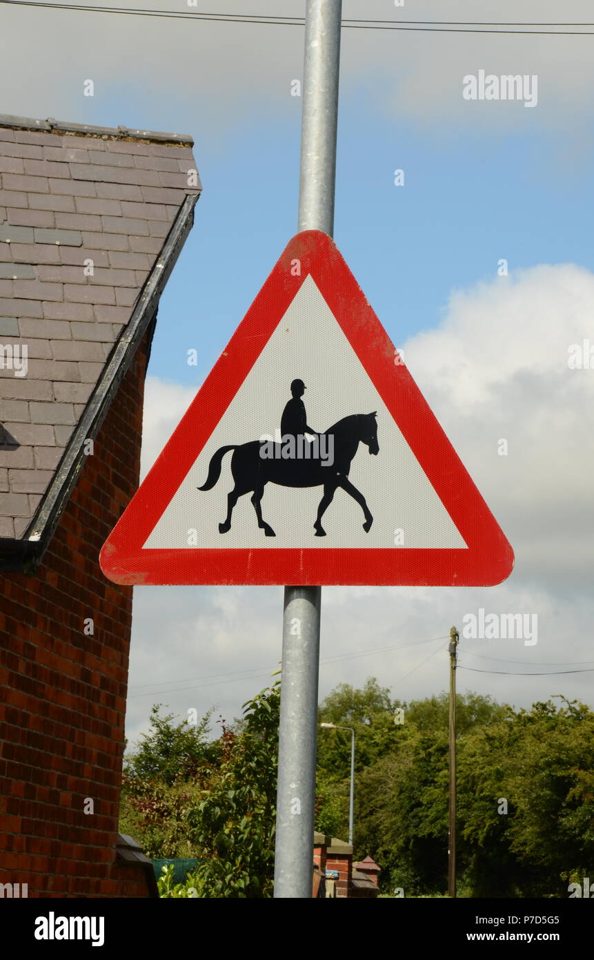 Risk assessment horse hi-res stock photography and images - Alamy