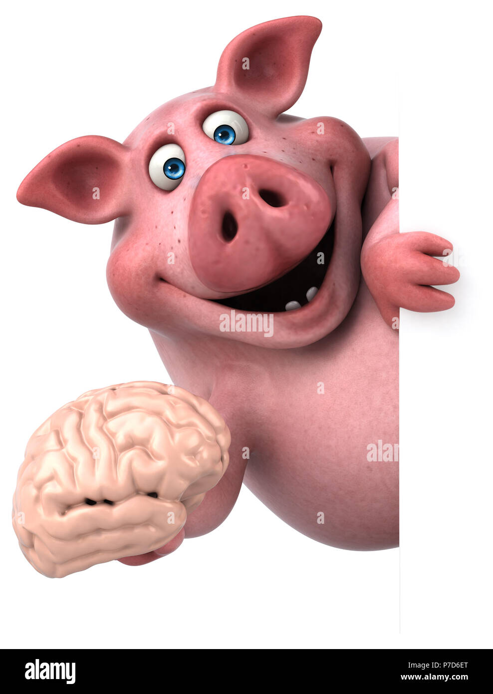 Pig brain illustration Cut Out Stock Images & Pictures - Alamy