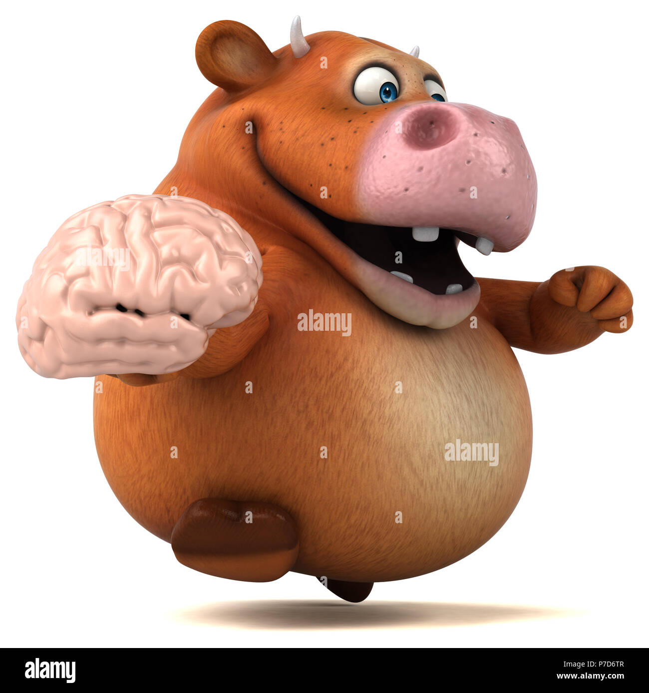 Cow brain Cut Out Stock Images & Pictures - Alamy