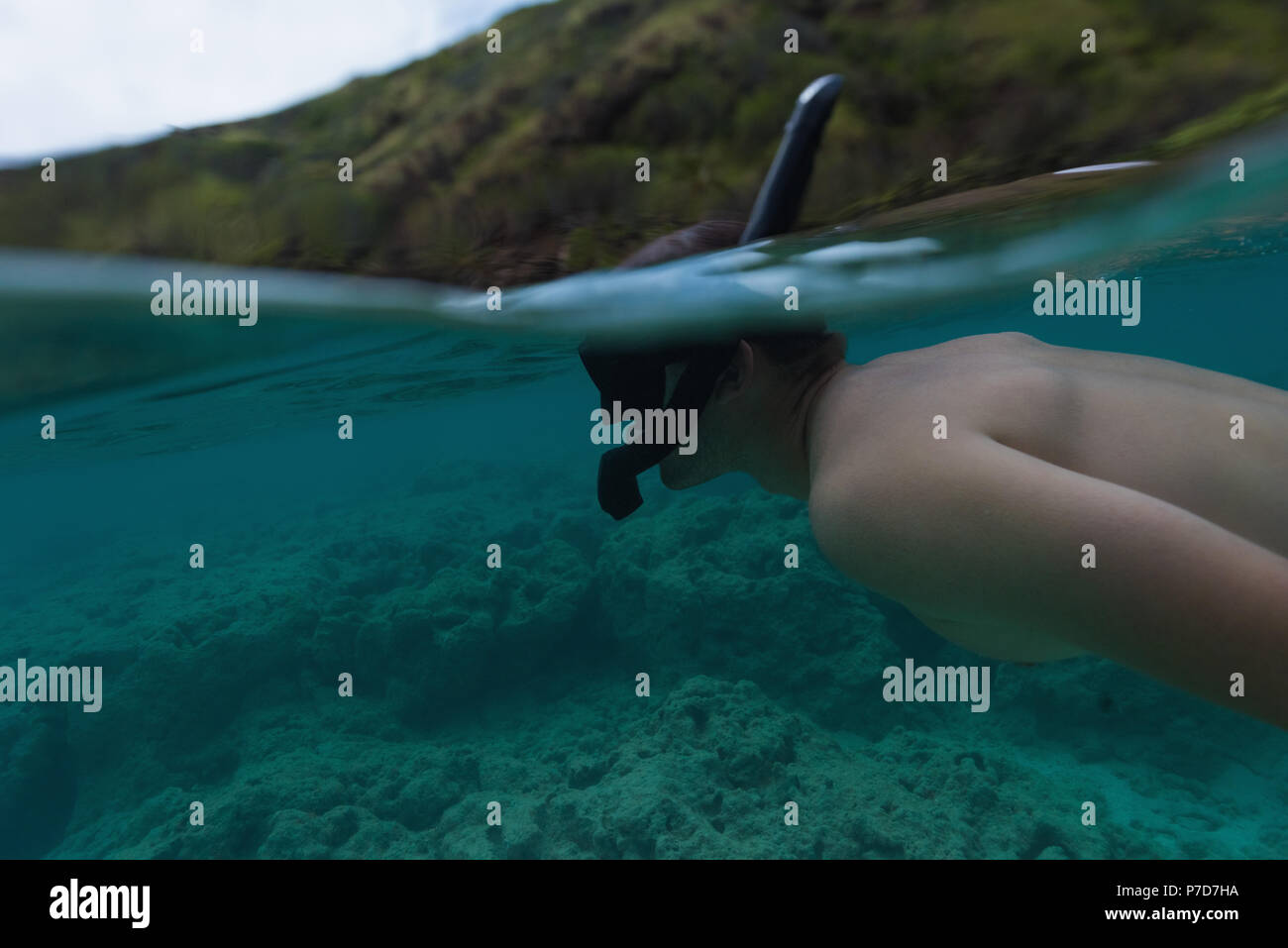 Man snorkeling underwater Stock Photo - Alamy