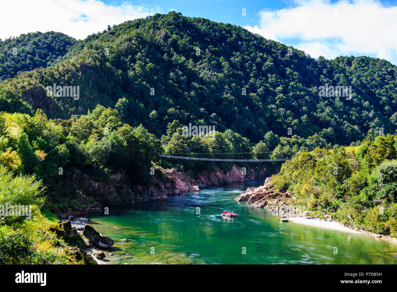 Long hanging bridge over the Buller Gorge, South Island, New Zealand ...