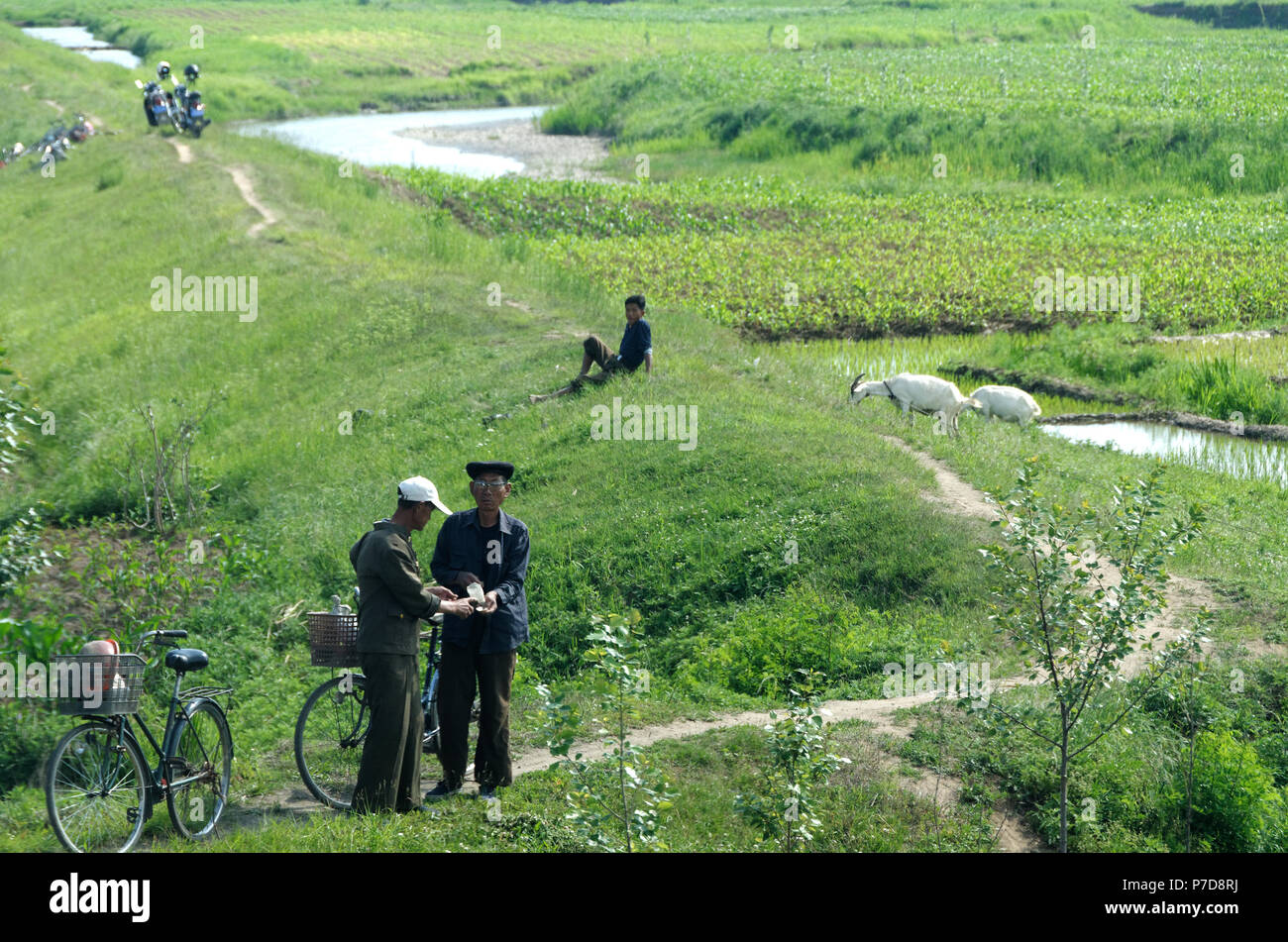 Manual agriculture hi-res stock photography and images - Alamy