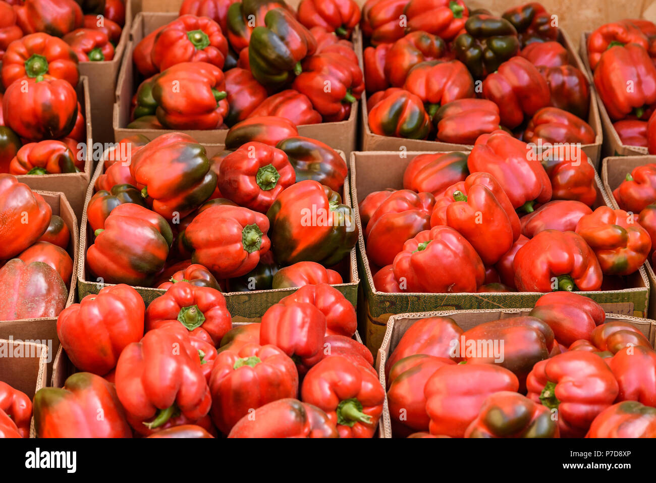 Red Pepper Capsicum In Vegetable Market Stock Photo - Alamy