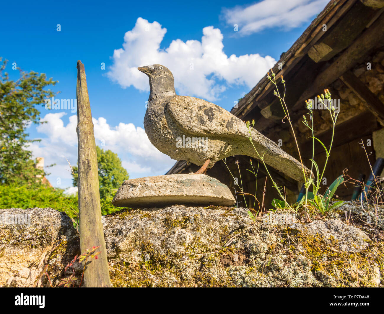 Carved stone pigeon on garden wall, France Stock Photo - Alamy