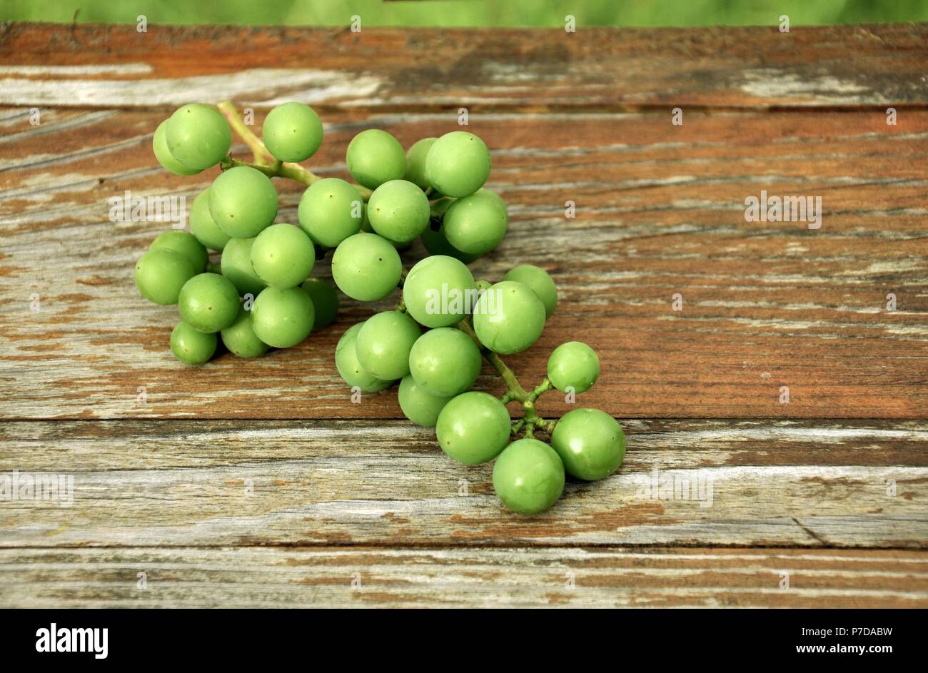 Sour grapes hi-res stock photography and images - Alamy