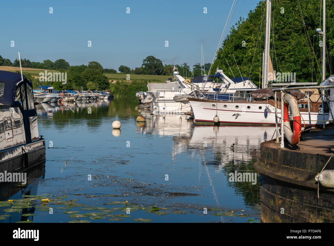 Sharpness gloucestershire hi-res stock photography and images - Alamy