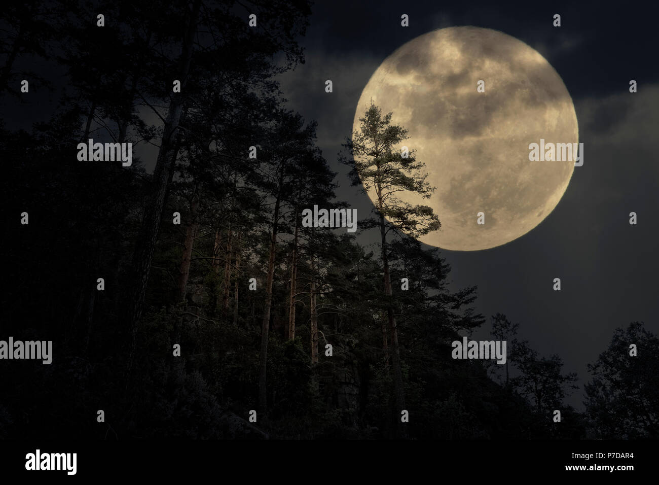 Mountain forest in an overcast full moon night Stock Photo - Alamy