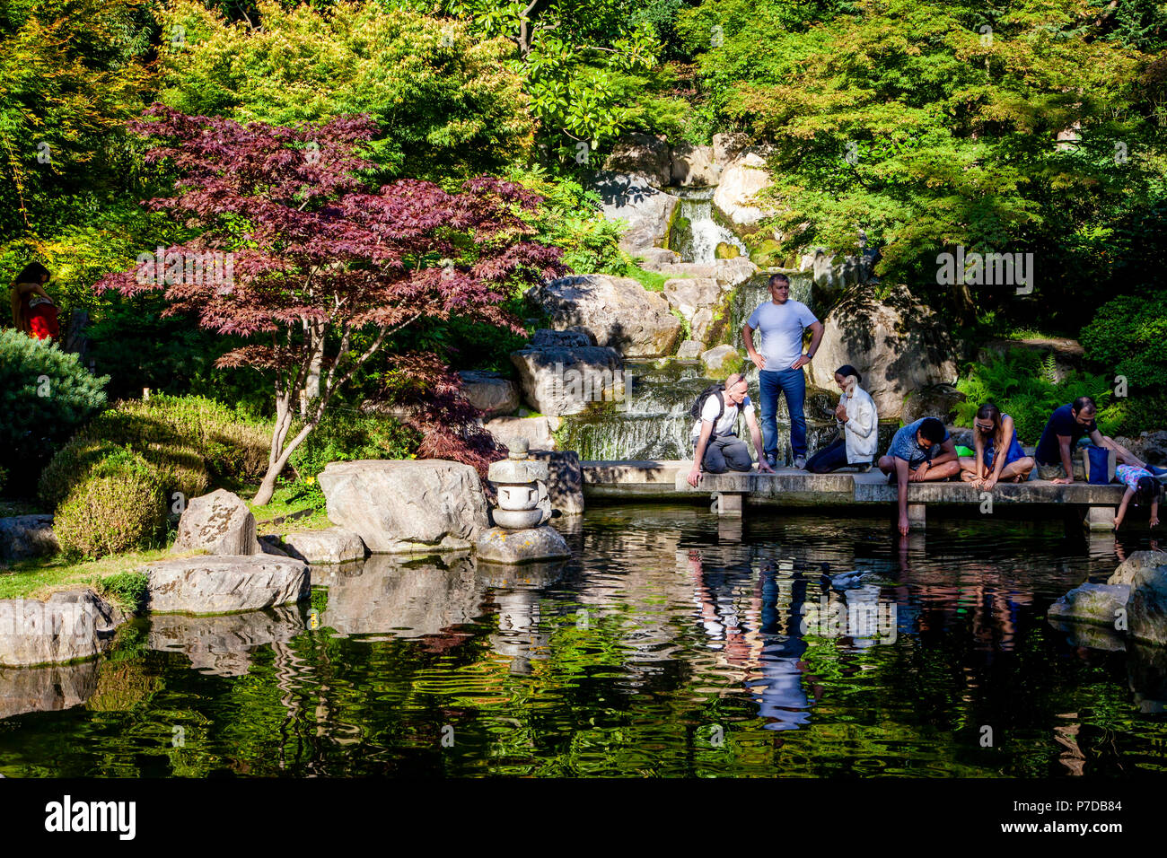 Holland park london garden hi-res stock photography and images - Alamy