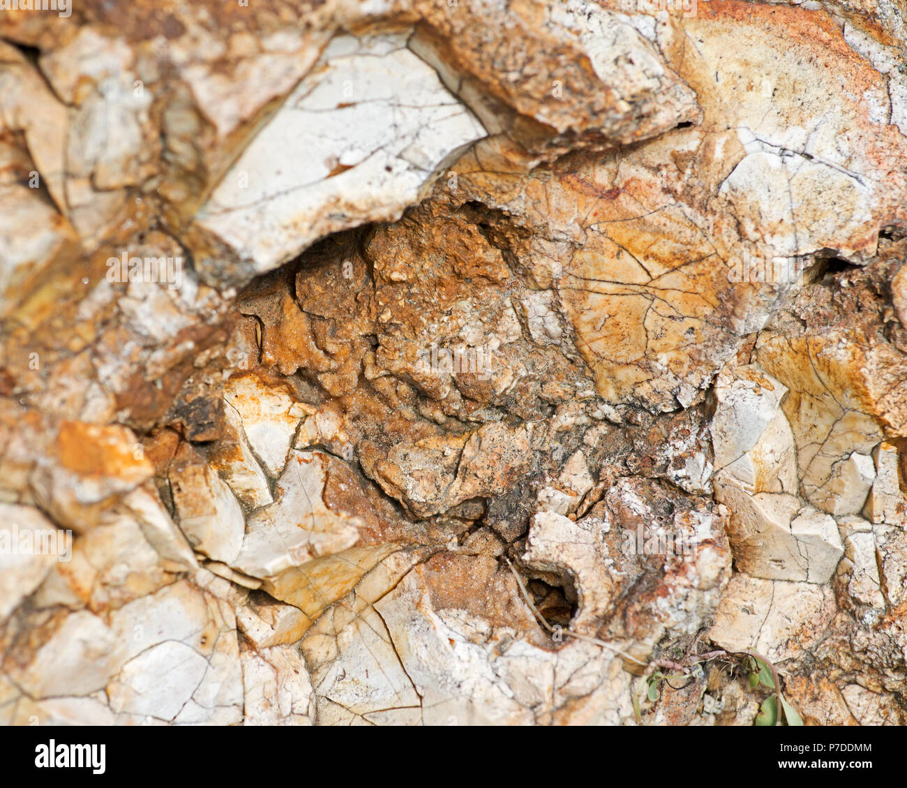 Natural mineral stone flint, sedimentary cryptocrystalline form of the ...