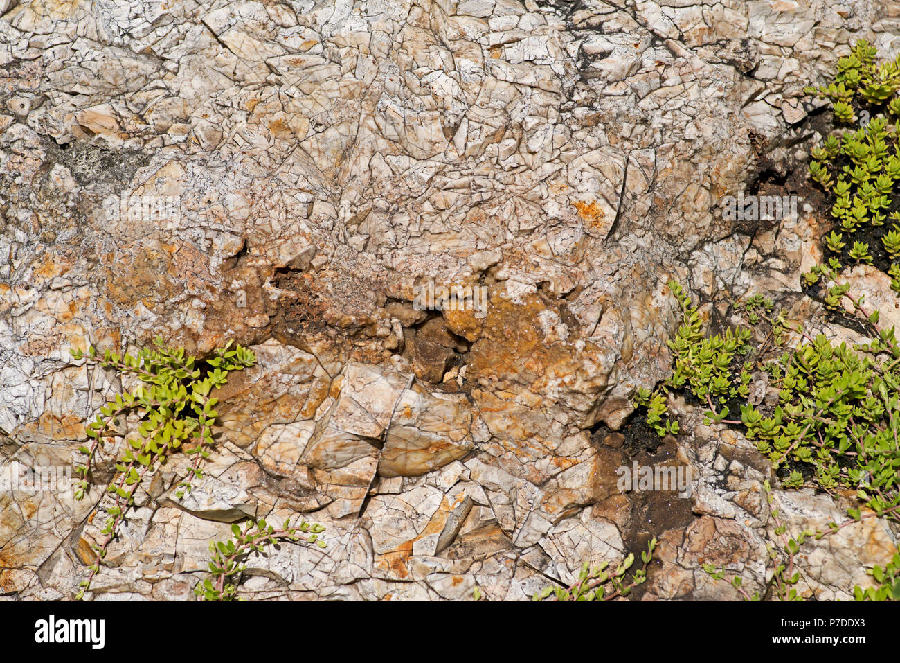 Natural mineral stone flint, sedimentary cryptocrystalline form of the ...