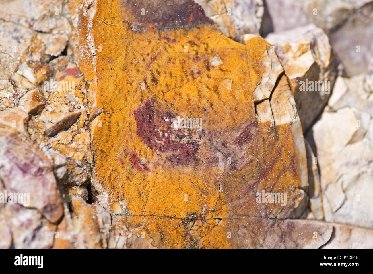 Natural mineral stone flint, sedimentary cryptocrystalline form of the ...