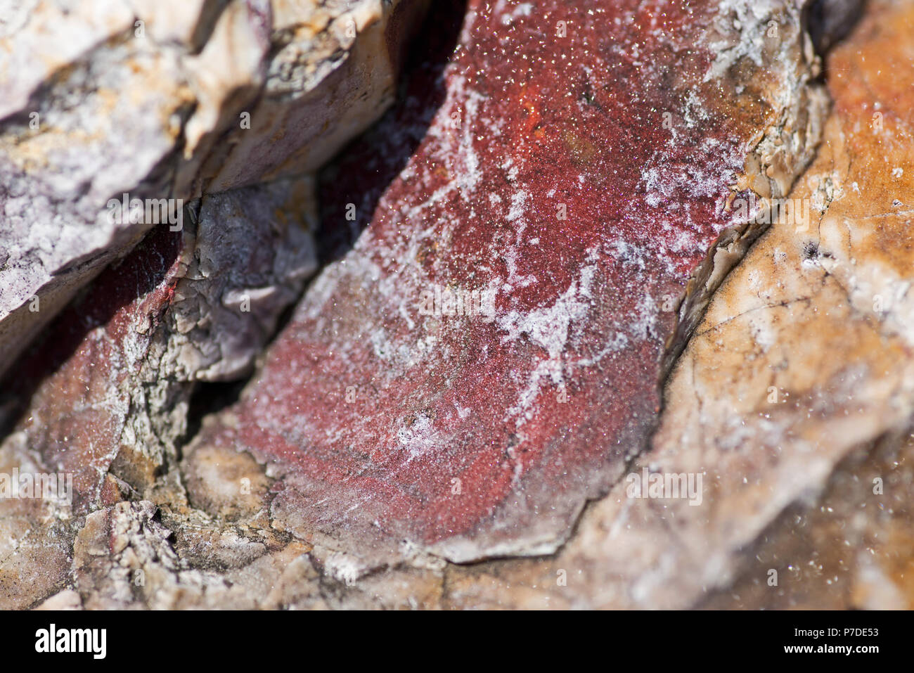 Natural mineral stone flint, sedimentary cryptocrystalline form of the ...