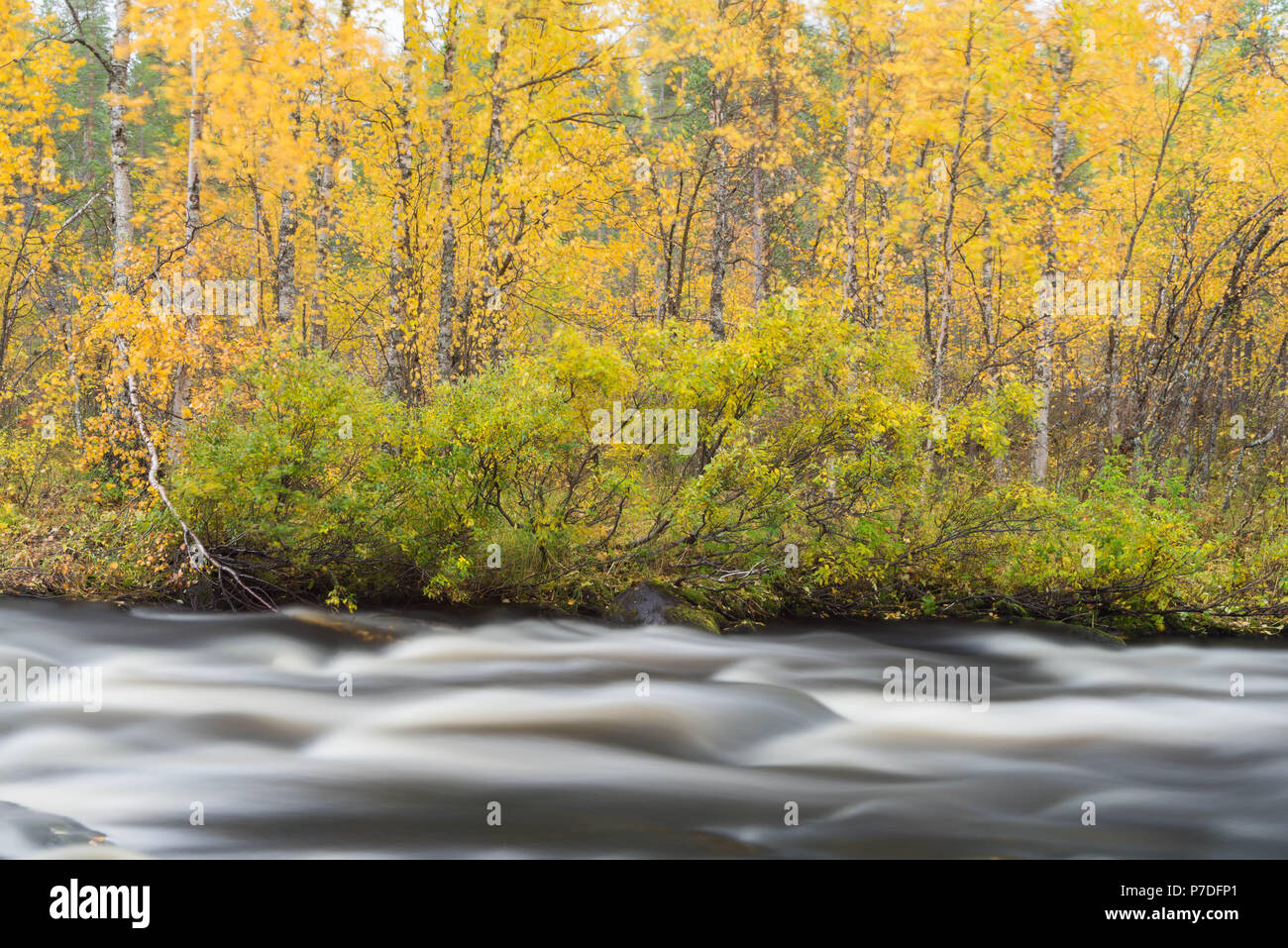 Muonio river hi-res stock photography and images - Alamy