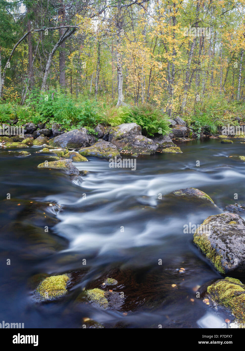 Muonio river hi-res stock photography and images - Alamy