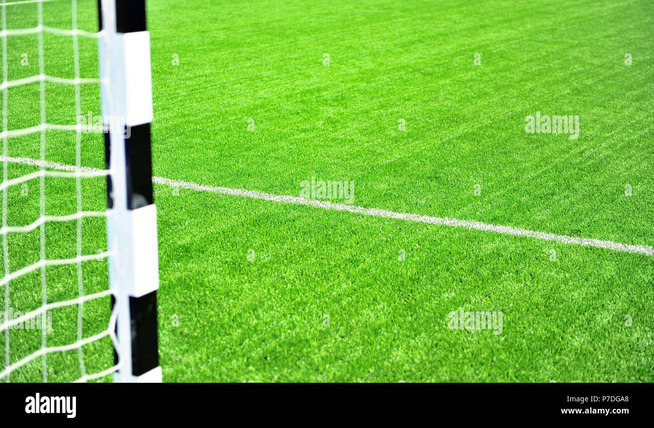 Football arena with green grass field background Stock Photo - Alamy